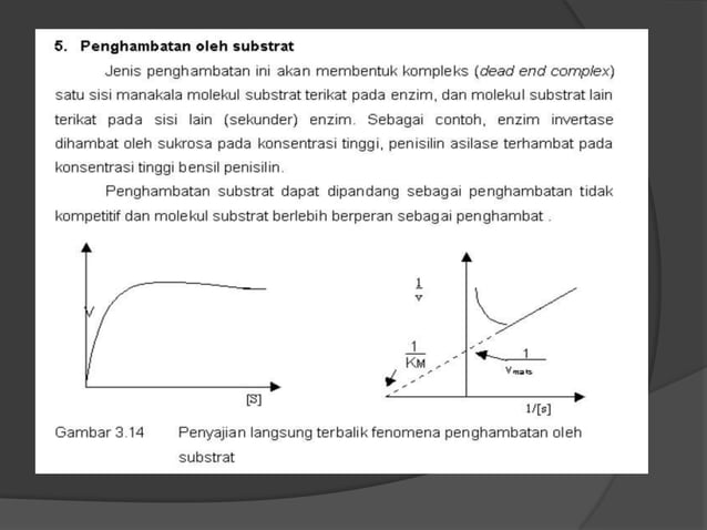 Kinetika enzim | PPTX
