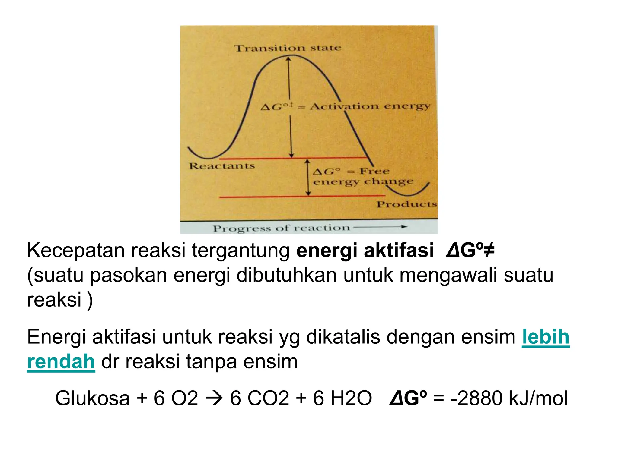 Kinetika Enzim untuk mahasiswa kesehatan | PPT
