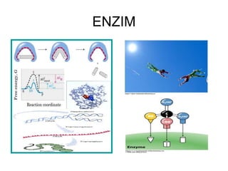 Kinetika Enzim untuk mahasiswa kesehatan | PPT