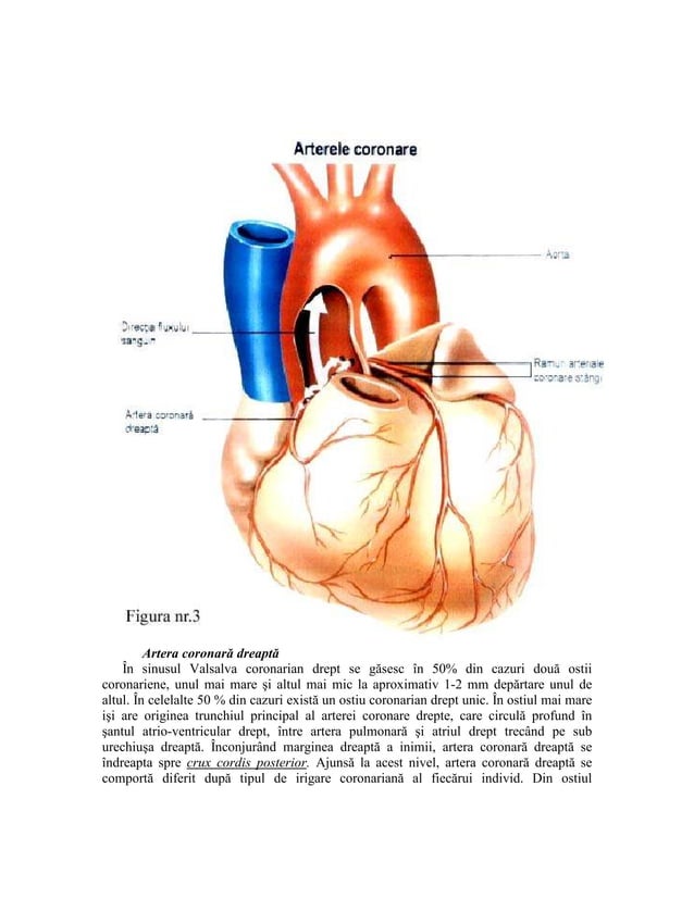 Kinetoterapie in afectiuni cardiovasculare | PDF