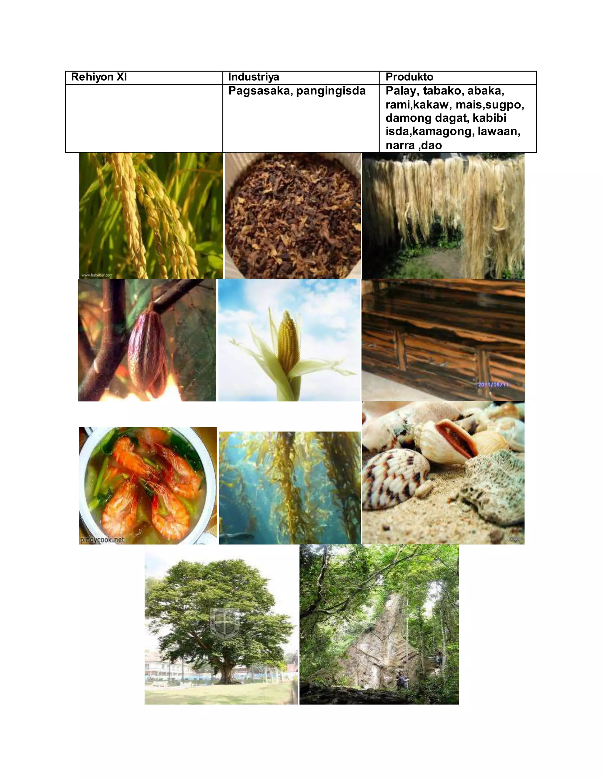 produkto sa mga rehiyon | DOCX