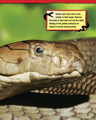 King Cobras | PDF