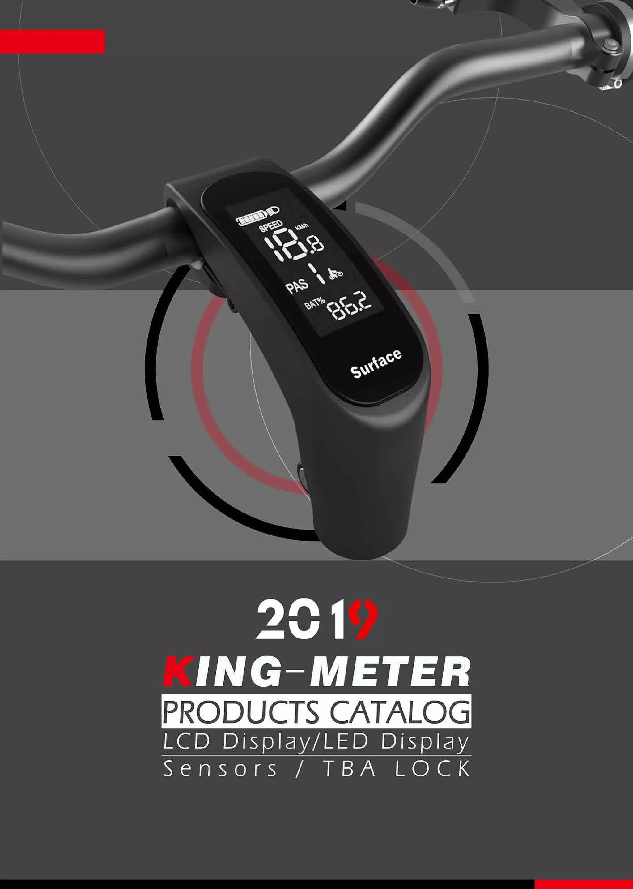 King-Meter 2019 Catalog for your eBikes. | PDF