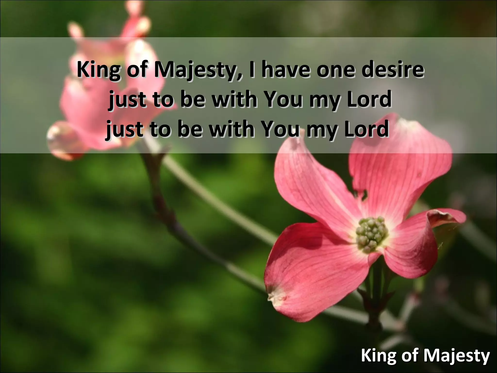 King Of Majesty | PPT