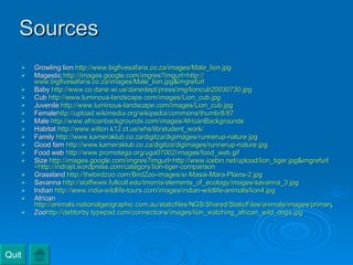 King Of The Jungle | PPT