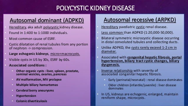 Urinary system – common pathological correlation
