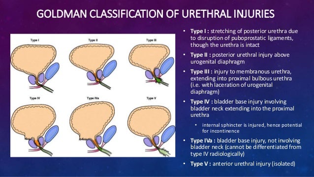 Urinary system – common pathological correlation
