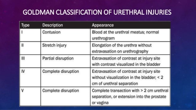 Urinary system – common pathological correlation