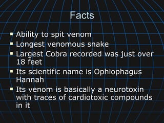 King cobra | PPT