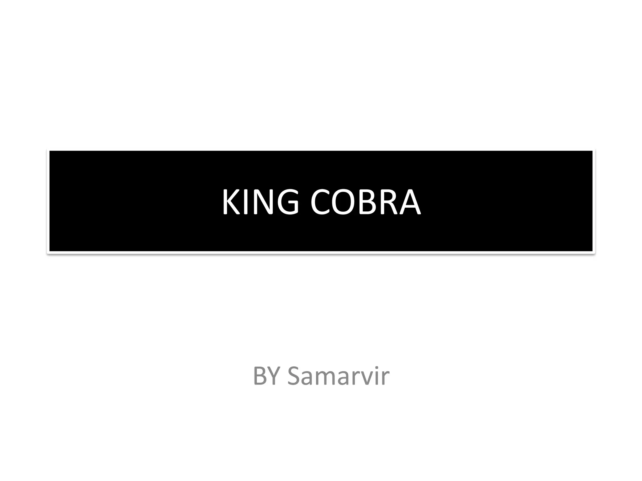 King cobra | PPTX