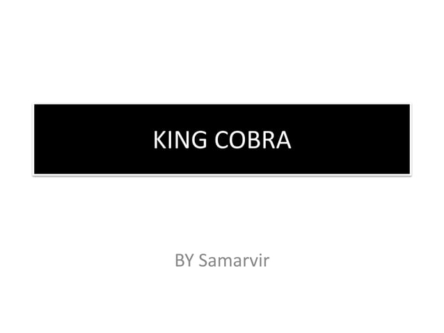 King cobra | PPTX