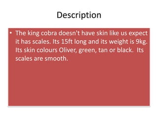King cobra | PPTX