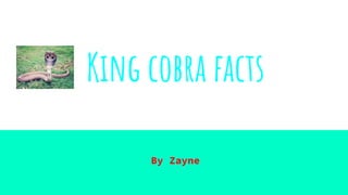 King Cobra | PPTX | Reptiles | Pets