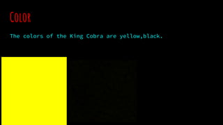King Cobra | PPTX