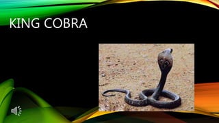 KingCobraInfo.pptx
