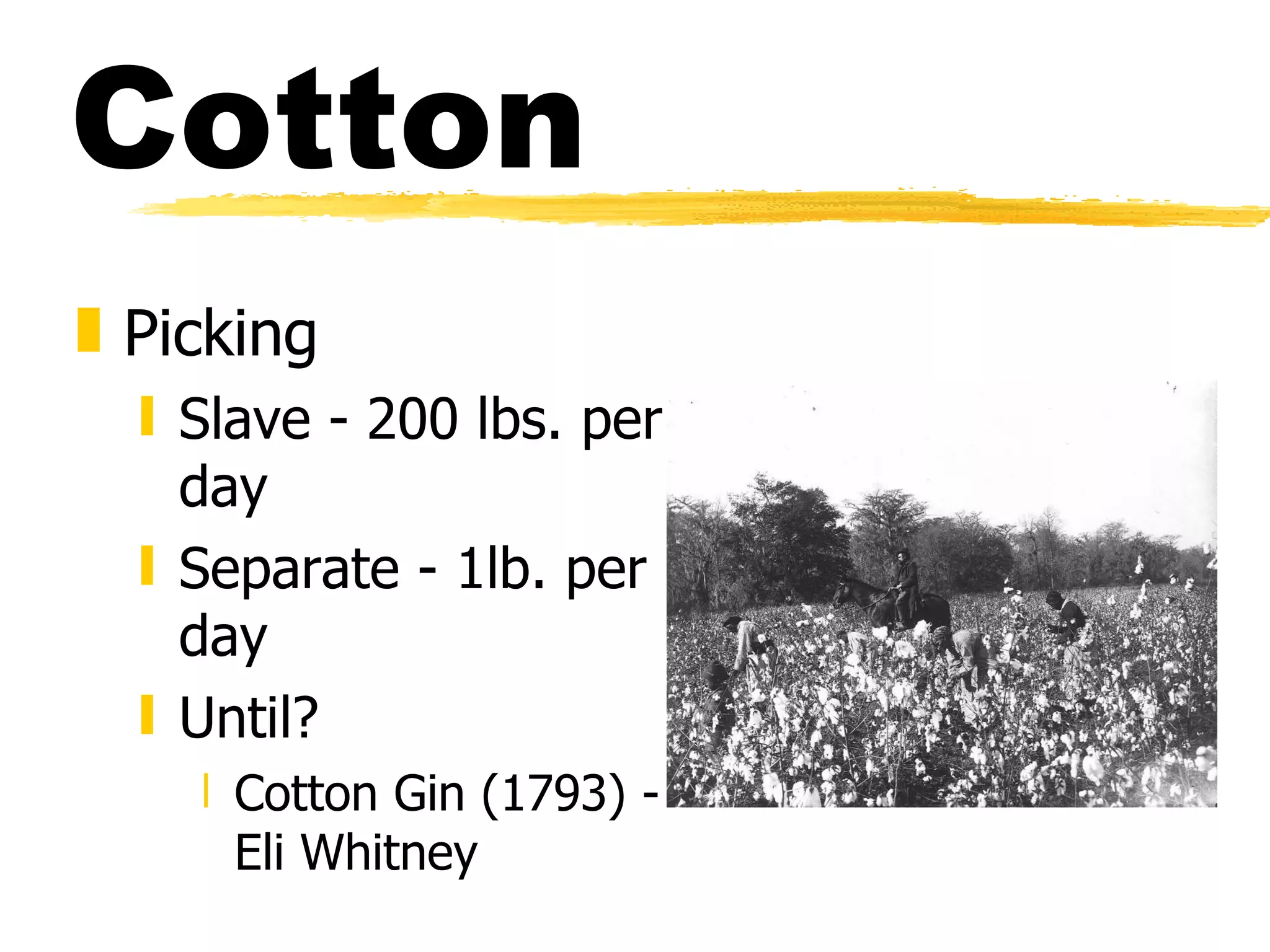 King cotton- slavery | PPT | Politics