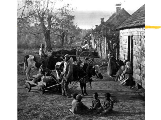 King cotton- slavery | PPT