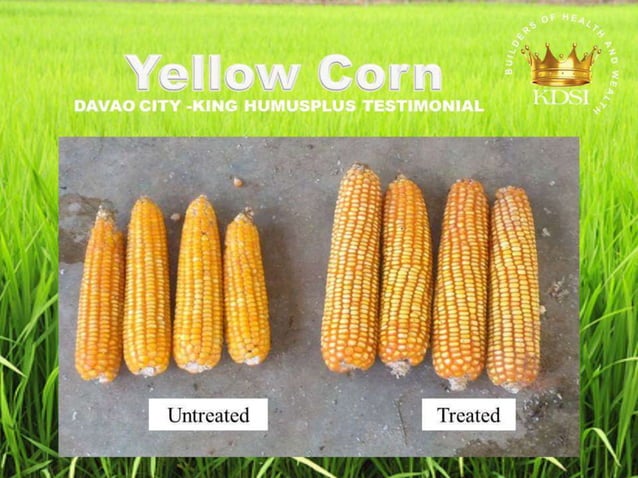 KING DNARMSA SPIRULINA INTERNATIONAL KDSI KING HUMUSPLUS PRESENTATION ...