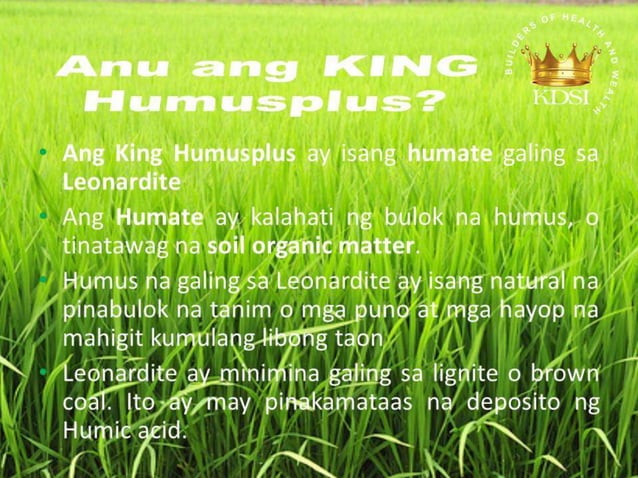 KING DNARMSA SPIRULINA INTERNATIONAL KDSI KING HUMUSPLUS PRESENTATION ...