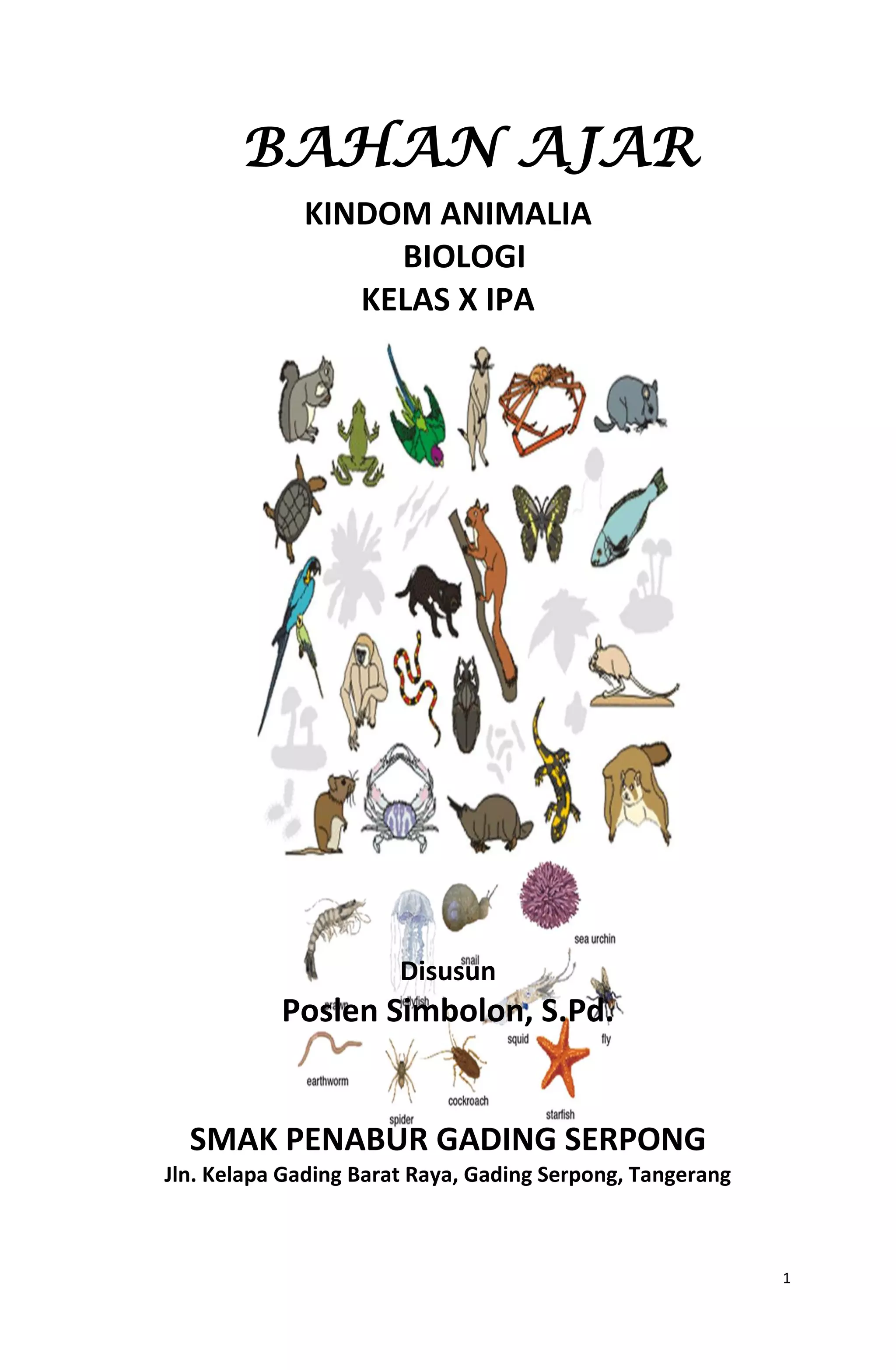 Kingdom animalia | PDF