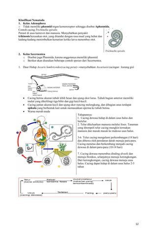Kingdom animalia | PDF