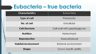 Kingdom-Archaebacteria-and-Eubacteria.pptx