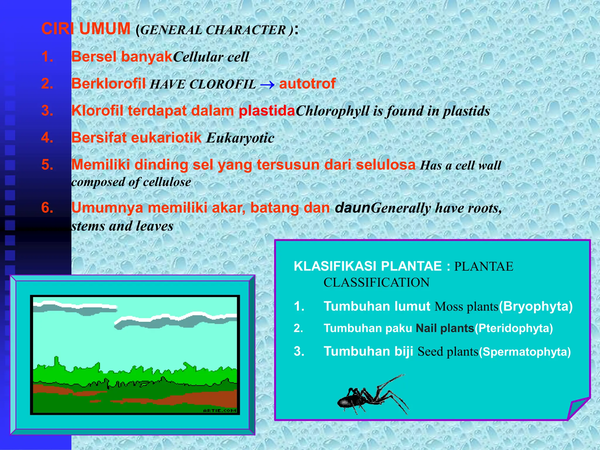 kingdom-plantae macam-macam tumbuhan berdasarkan kelasnya.ppt