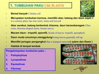 kingdom-plantae macam-macam tumbuhan berdasarkan kelasnya.ppt