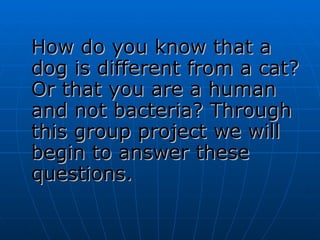 Kingdom Project Powerpoint | PPT