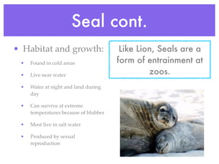 Kingdom Animalia | PPT