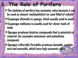 Kingdom animalia | PPT | Biological Sciences | Science