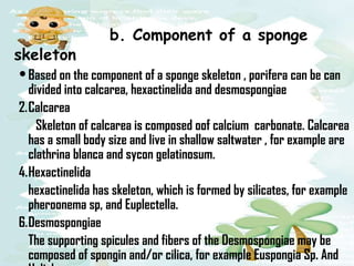 Kingdom animalia | PPT