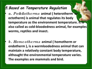Kingdom animalia | PPT