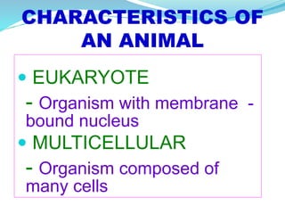 Kingdom Animalia Characteristics
