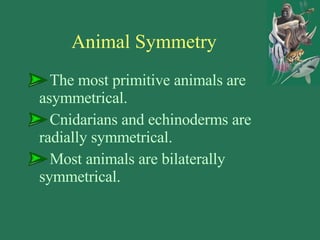 Kingdom Animalia | PPT