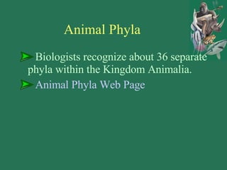 Kingdom Animalia | PPT