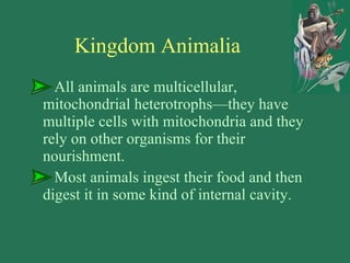 Kingdom Animalia Animals
