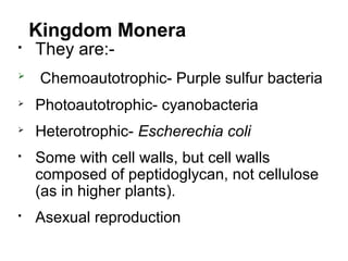 Kingdom animalia | PPT