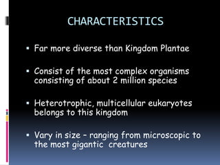 Animalia Kingdom Characteristics