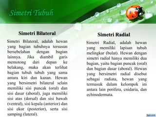 Kingdom animalia | PPTX