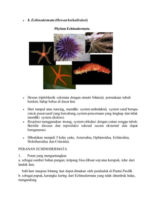 Kingdom animalia | DOCX