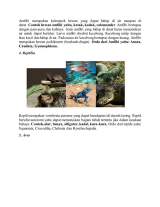 Kingdom animalia | DOCX