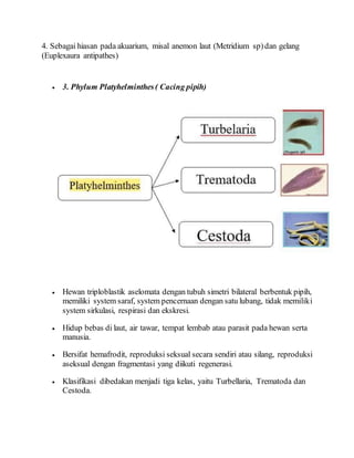 Kingdom animalia | DOCX