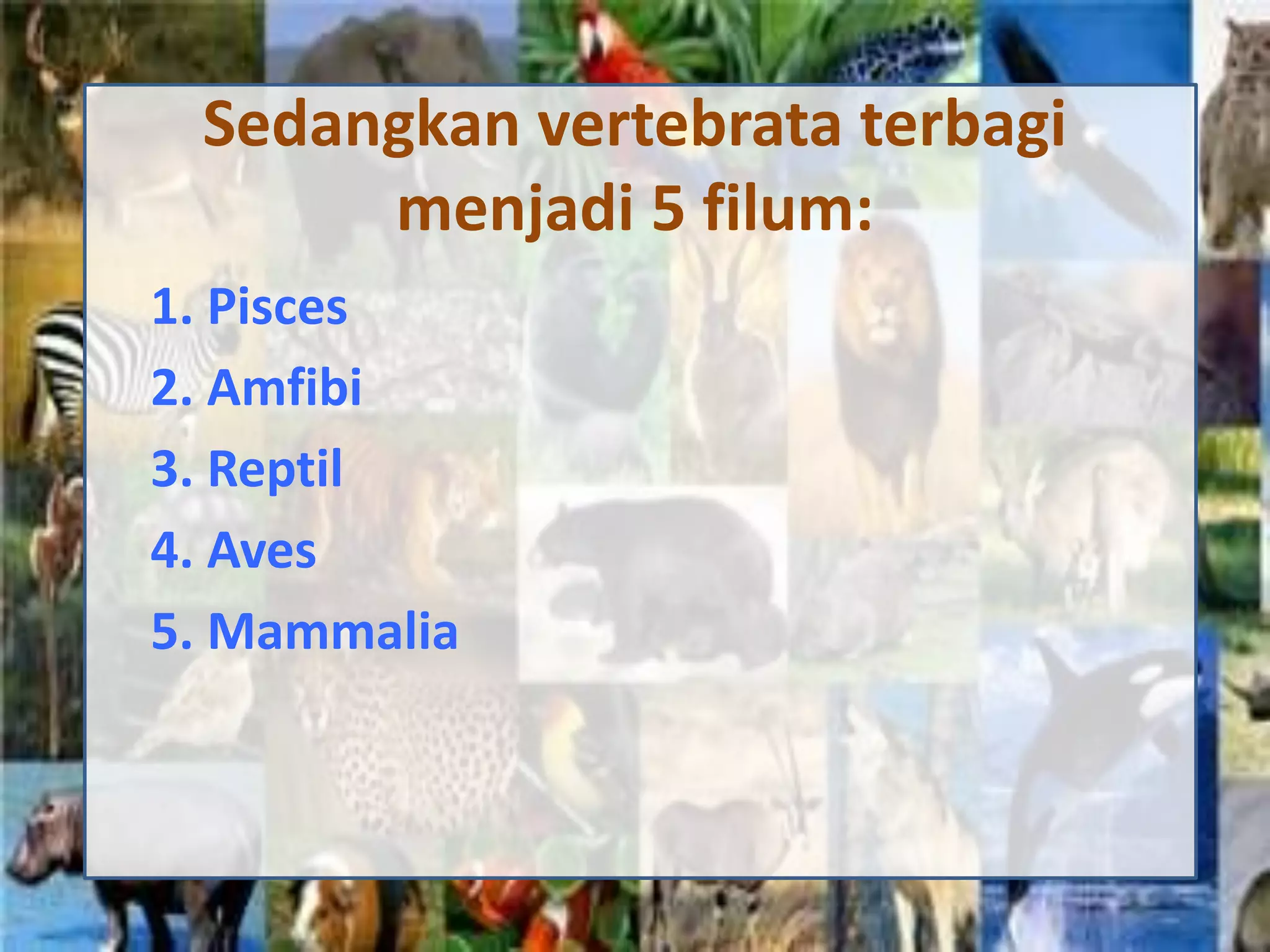 KINGDOM ANIMALIA.pptx