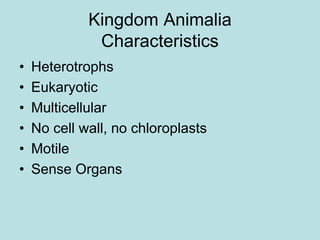 Kingdom Animalia.ppt