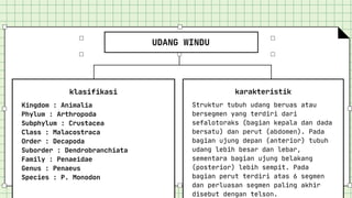 KINGDOM ANIMALIA.pdf