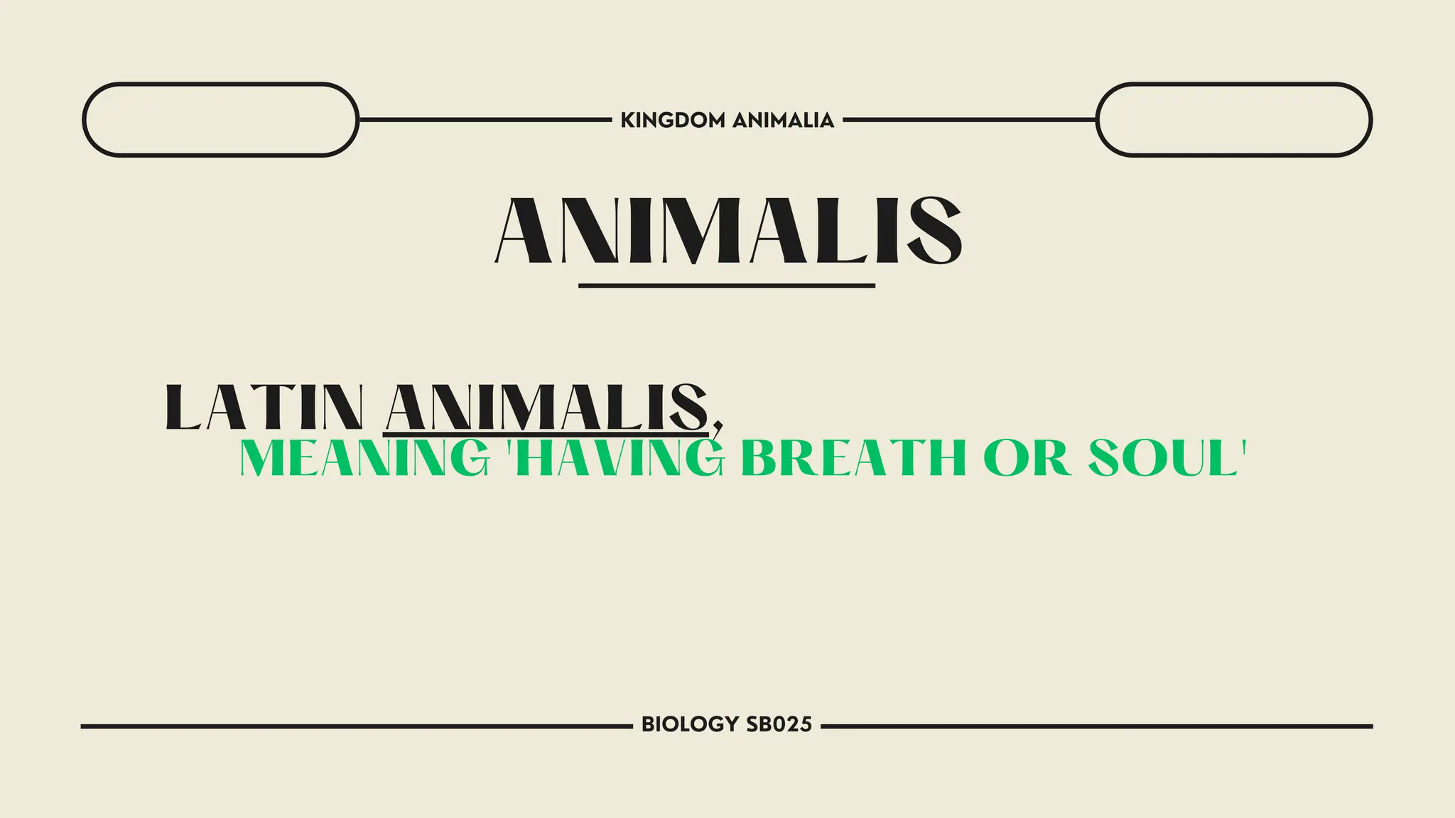 Kingdom Animalia | PPT