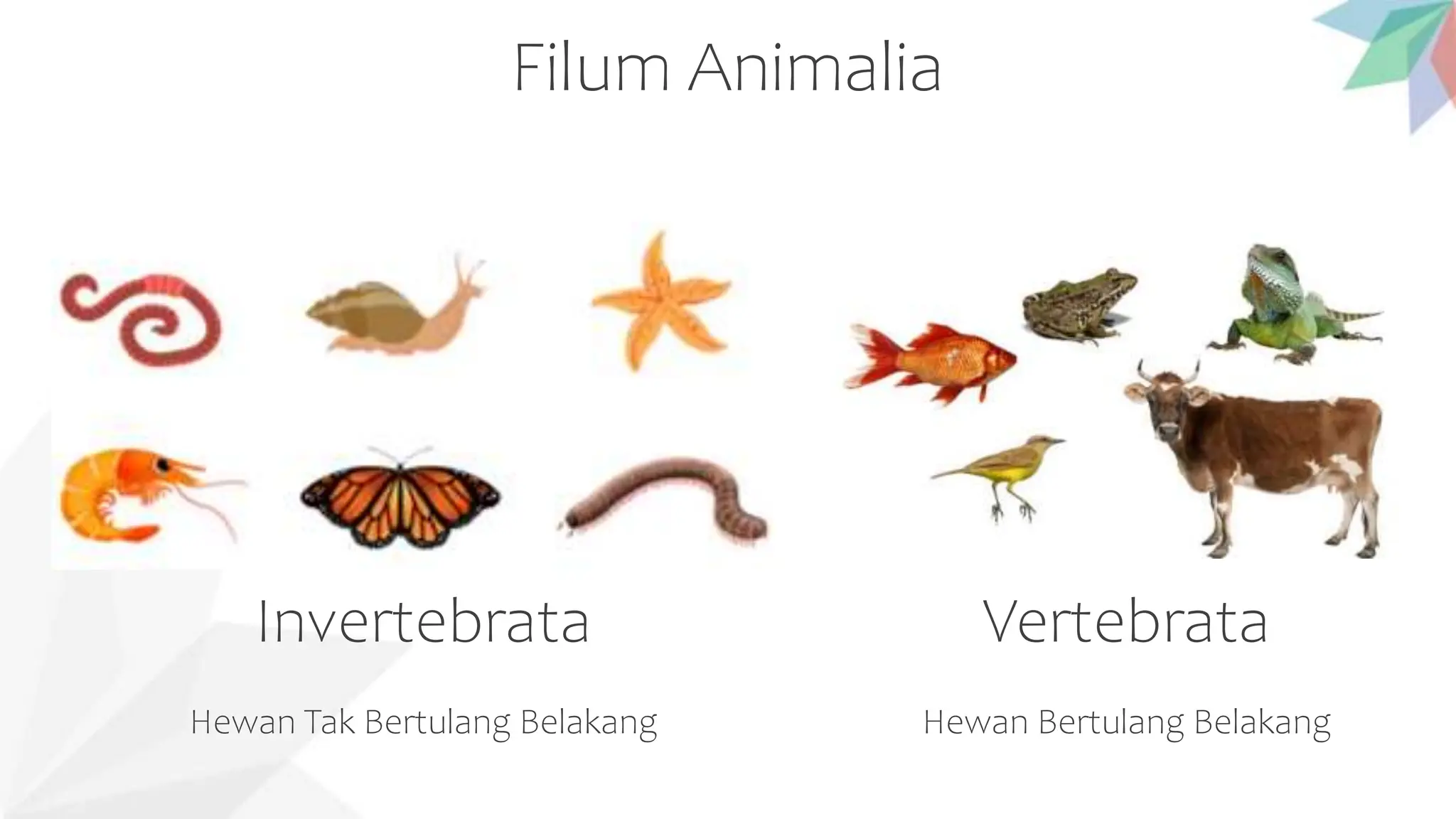 Kingdom Animalia - Klasifikasi Makhluk Hidup.pptx