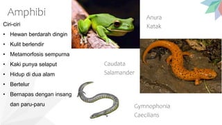Kingdom Animalia - Klasifikasi Makhluk Hidup.pptx