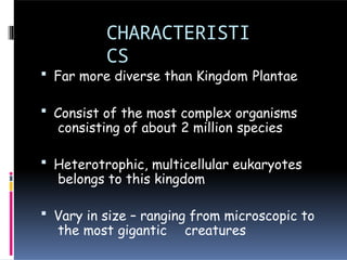 kingdom Animalia PowerPoint Presentation | PPT